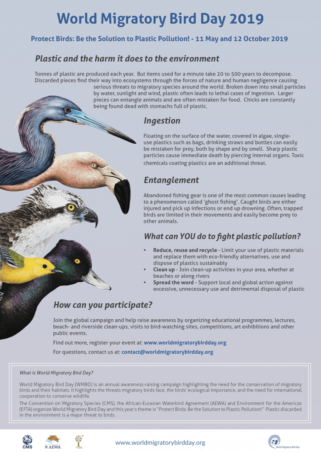 World Migratory Bird Flyer 2019 – EFTA Digital Resource Library