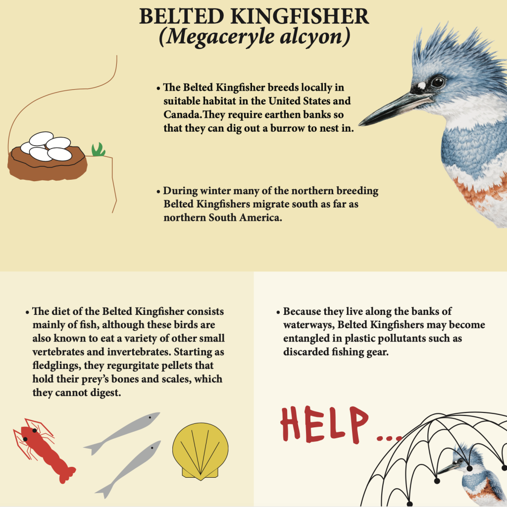 WMBD Logo – EFTA Digital Resource Library