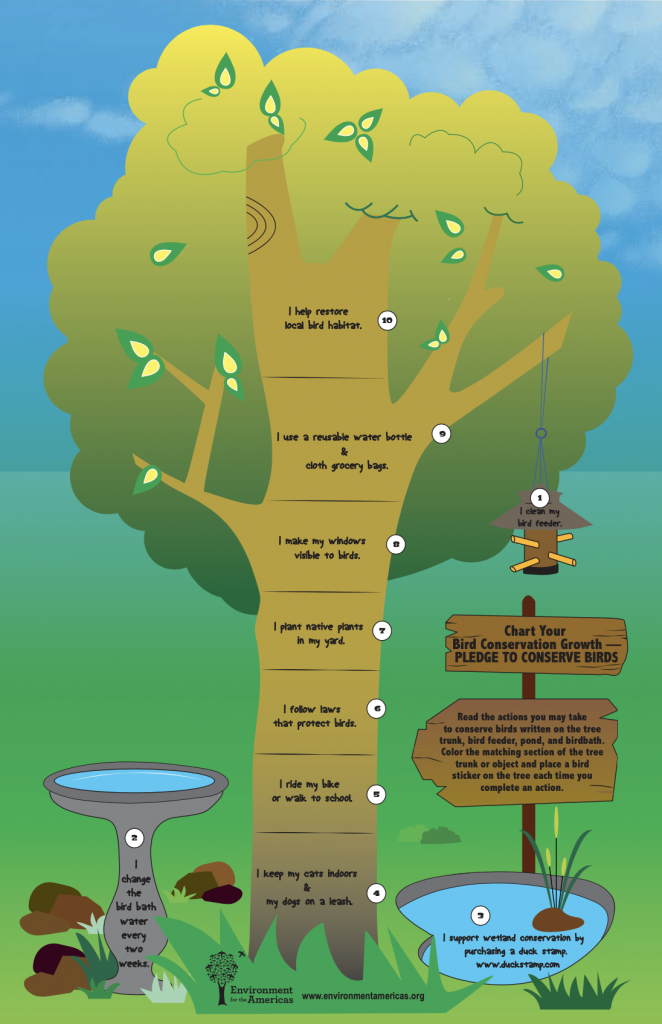The Conservation Challenge Growth Chart – EFTA Digital Resource Library