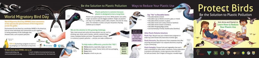 Plastic Pollution Pamphlet – EFTA Digital Resource Library