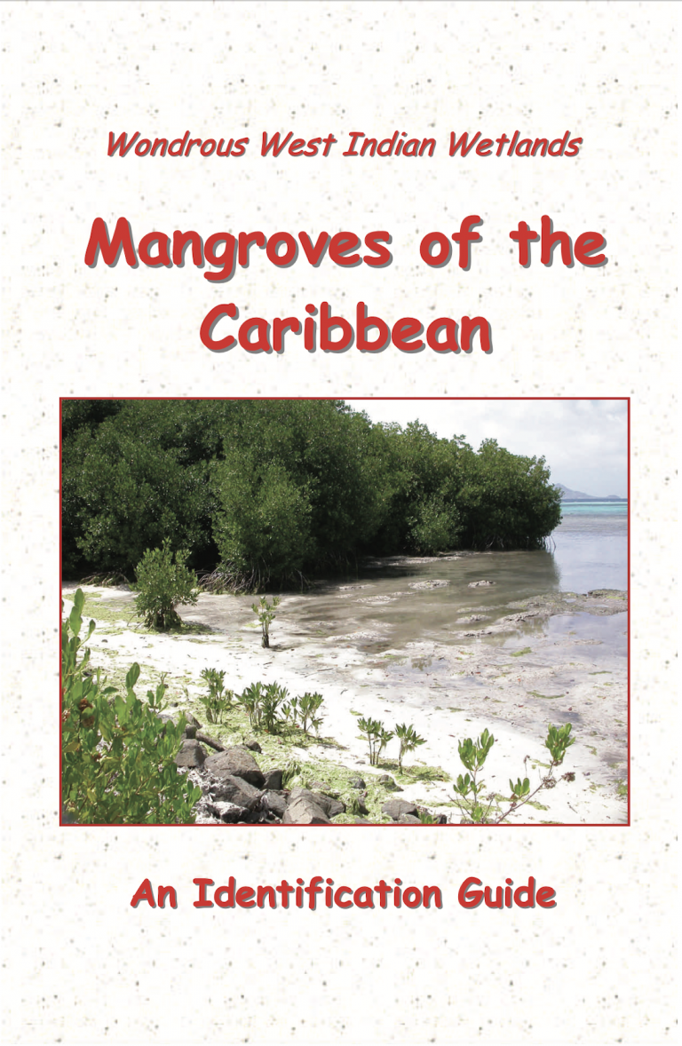 Mangroves Of The Caribbean ID Guide – EFTA Digital Resource Library