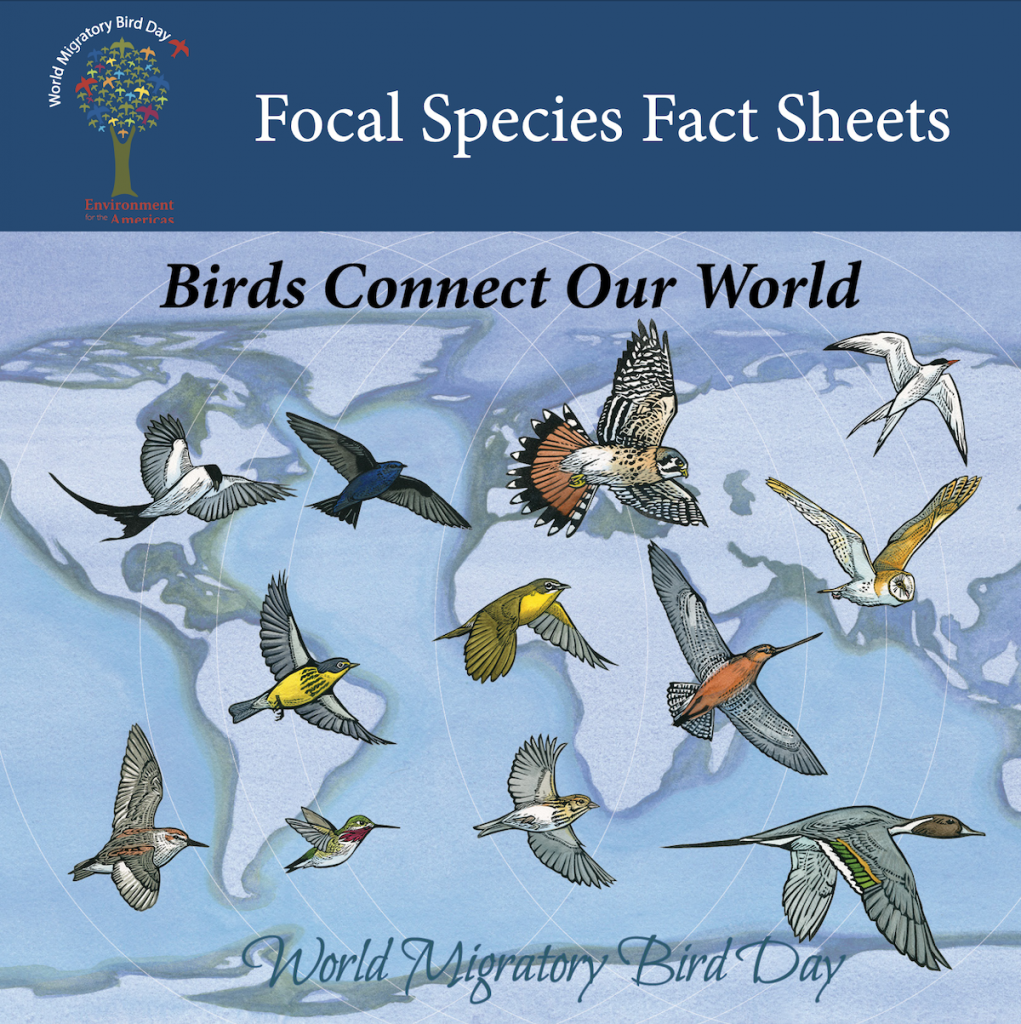 2020 Fact Sheets – EFTA Digital Resource Library