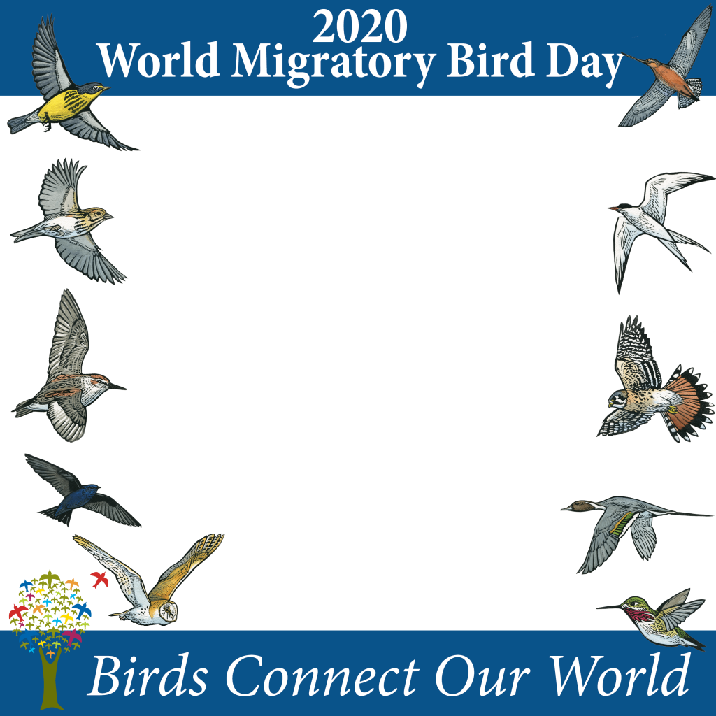 2020 Fact Sheets – EFTA Digital Resource Library