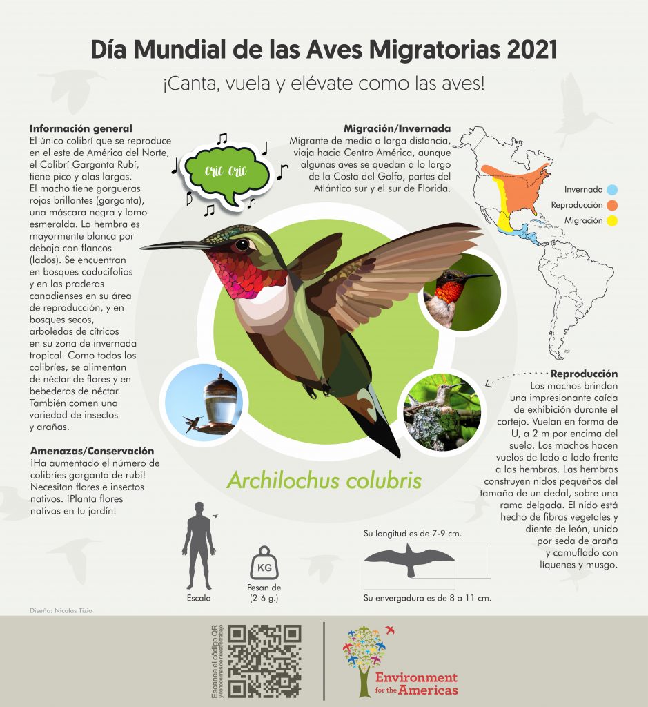 2021 Infographics Spanish – EFTA Digital Resource Library