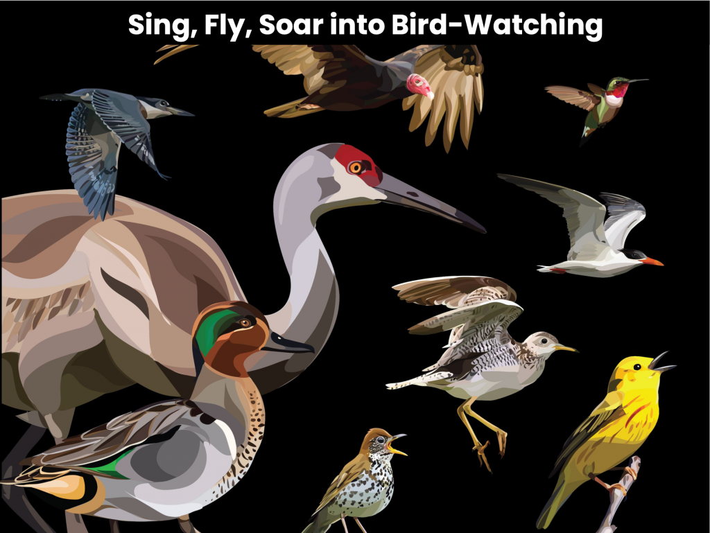 2021 Birdwatching – Yard Sign – EFTA Digital Resource Library