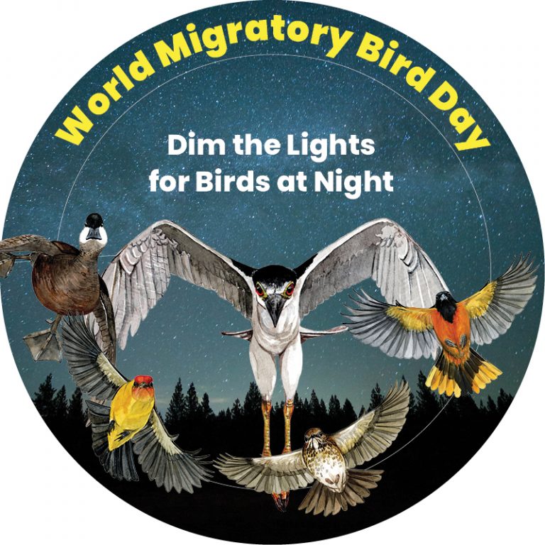 2022 WMBD Pins – EFTA Digital Resource Library