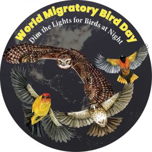 2022 WMBD Pins – EFTA Digital Resource Library