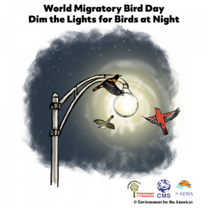 EFTA Logo – EFTA Digital Resource Library