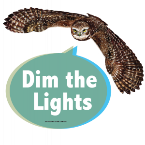 EFTA Digital Resource Library – Educational Materials and more