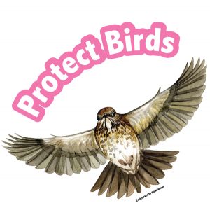 EFTA Logo – EFTA Digital Resource Library