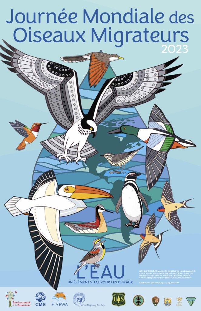 2023 WMBD Poster (All Languages) – EFTA Digital Resource Library