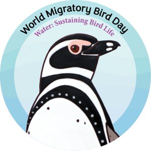 EFTA Digital Resource Library – Educational Materials and more