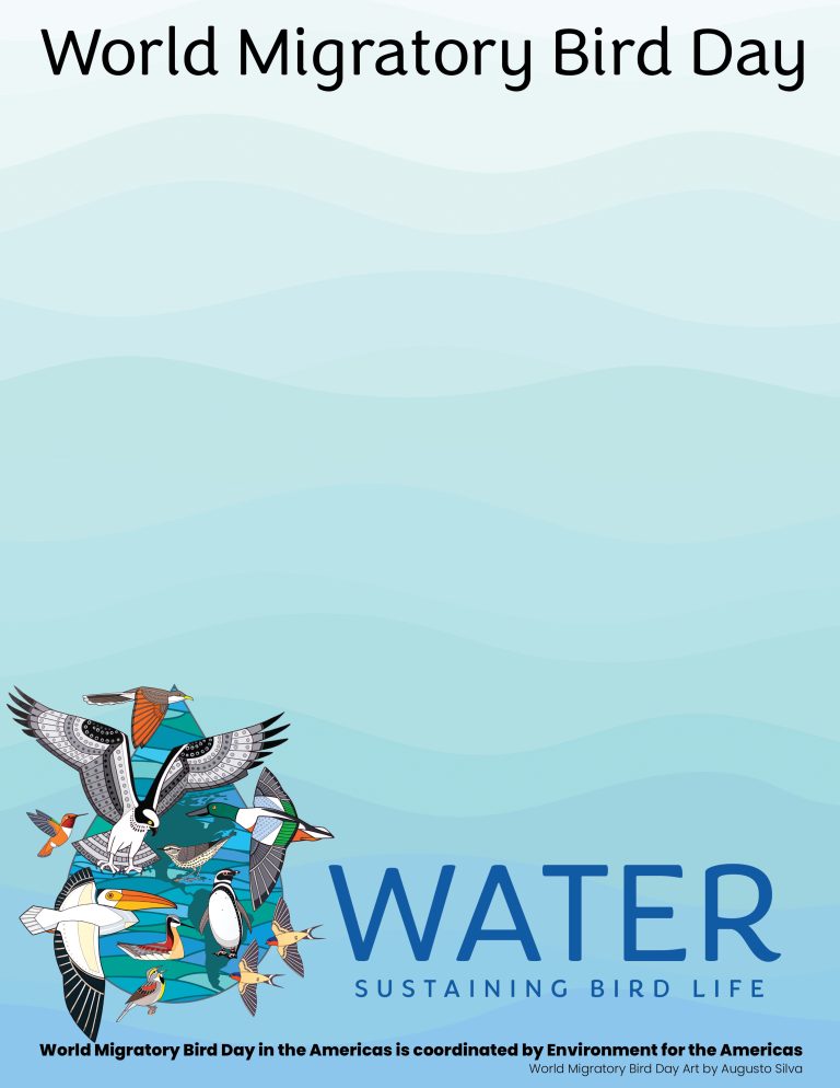 2023 WMBD Event Flyers (English & Spanish & French) – EFTA Digital Resource Library