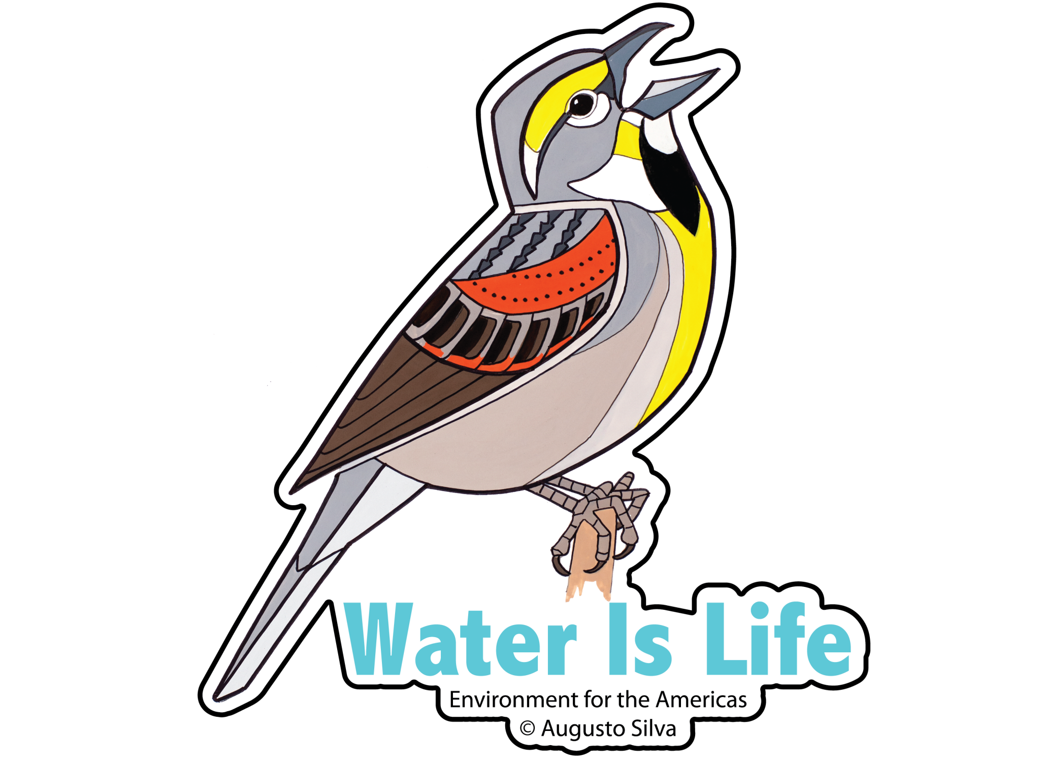 2023 WMBD Bird Images (English) – EFTA Digital Resource Library