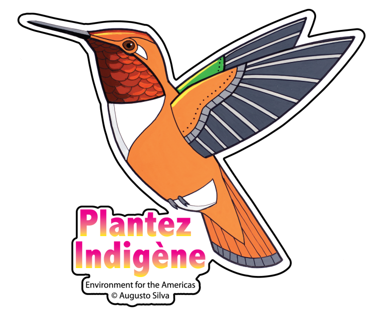 2023 WMBD Bird Images (French) – EFTA Digital Resource Library