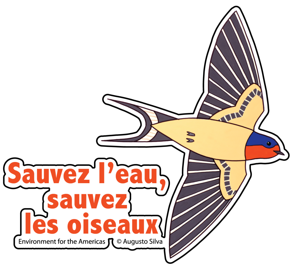 2023 WMBD Bird Images (French) – EFTA Digital Resource Library