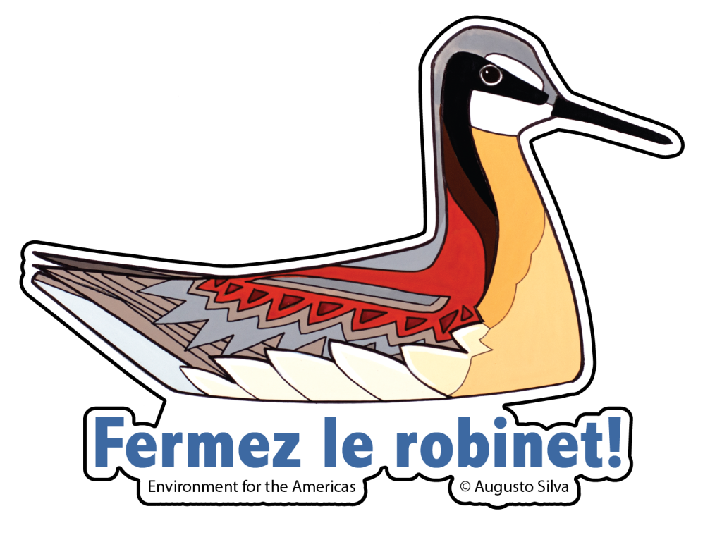 2023 WMBD Bird Images (French) – EFTA Digital Resource Library