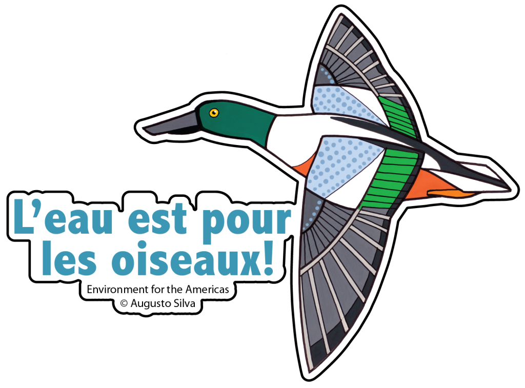 2023 WMBD Bird Images (French) – EFTA Digital Resource Library