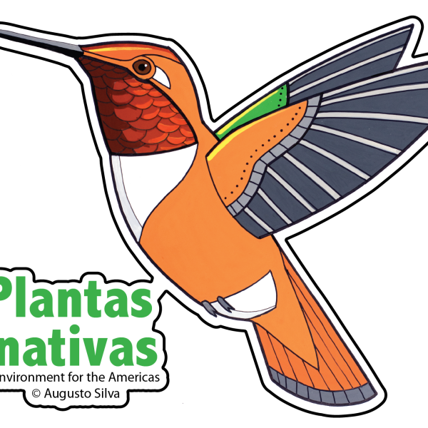 EFTA Digital Resource Library – Educational Materials and more