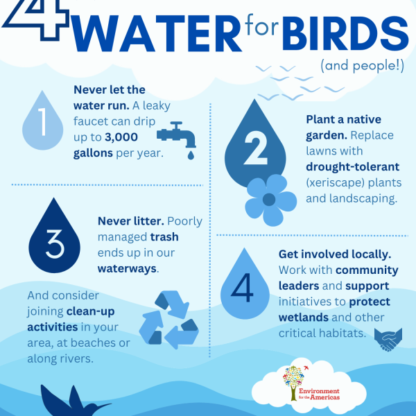 EFTA Digital Resource Library – Educational Materials and more