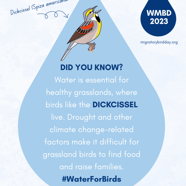 Shop – EFTA Digital Resource Library