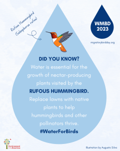 WMBD Infographics (English & Spanish) – EFTA Digital Resource Library
