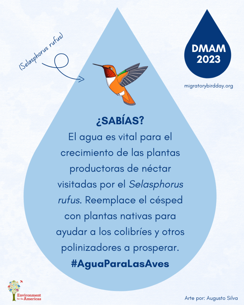 WMBD Infographics (English & Spanish) – EFTA Digital Resource Library