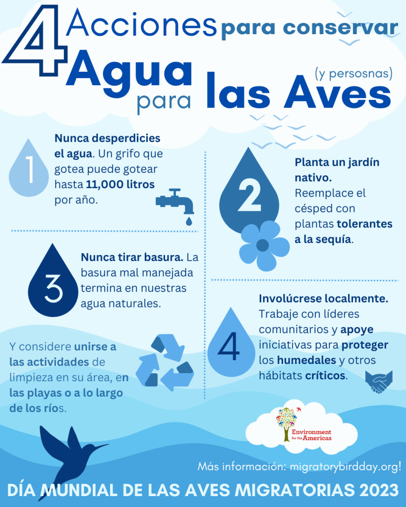 WMBD Infographics (English & Spanish) – EFTA Digital Resource Library