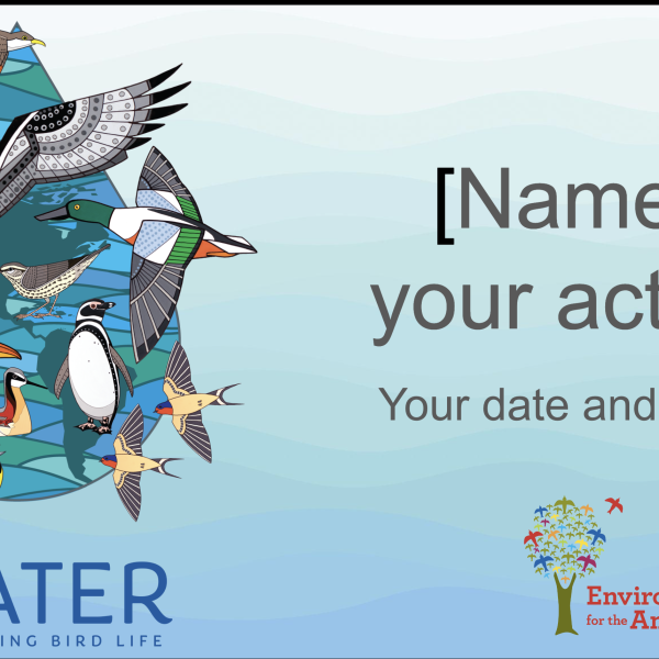 EFTA Digital Resource Library – Educational Materials and more