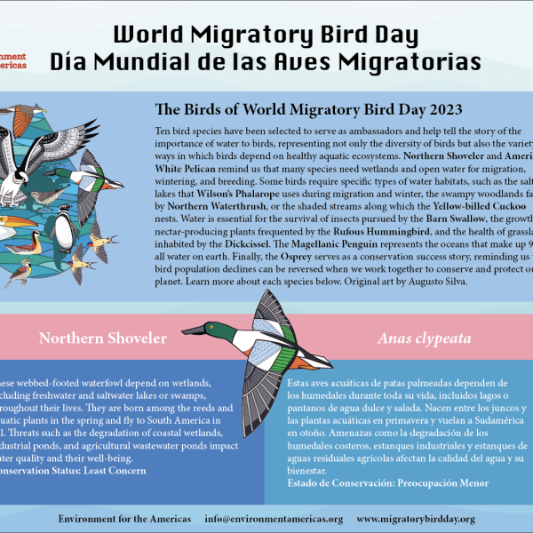 EFTA Digital Resource Library – Educational Materials and more