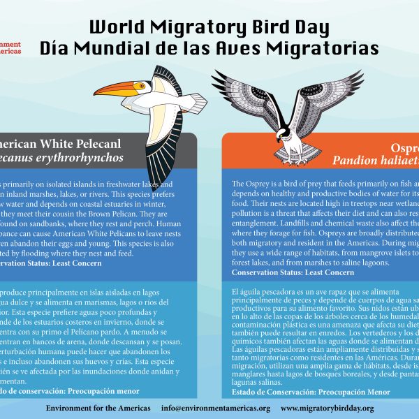 EFTA Digital Resource Library – Educational Materials and more