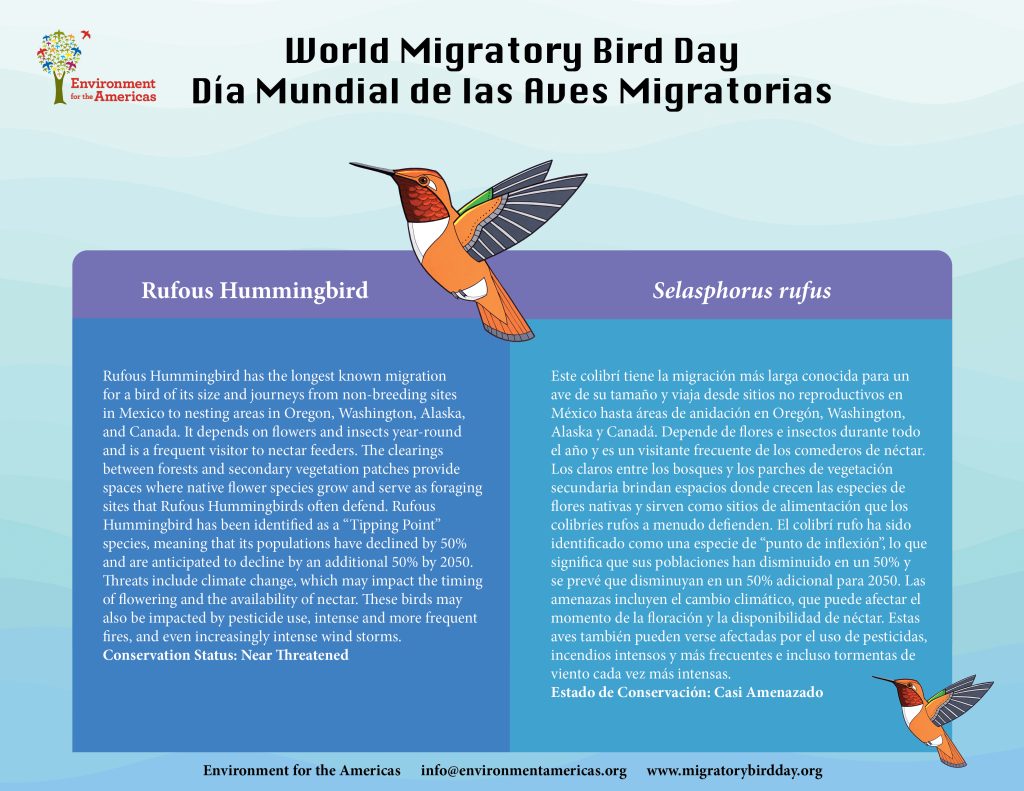 2023 WMBD Factsheets (English & Spanish) – EFTA Digital Resource Library