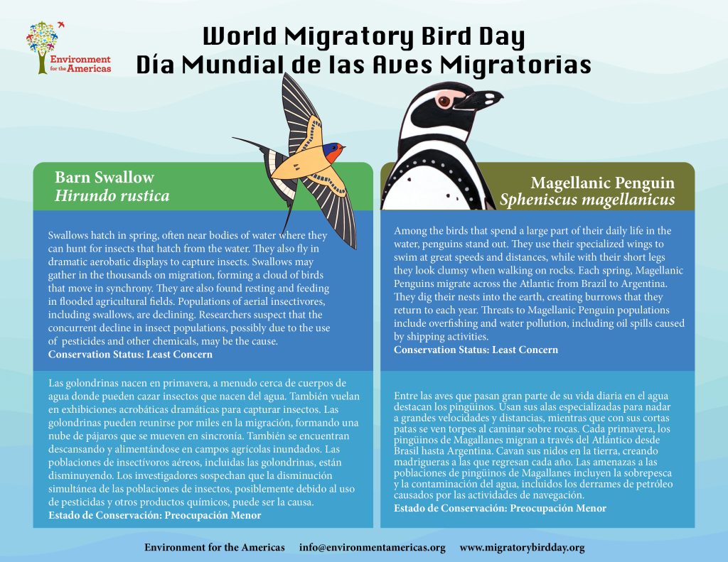 2023 WMBD Factsheets (English & Spanish) – EFTA Digital Resource Library