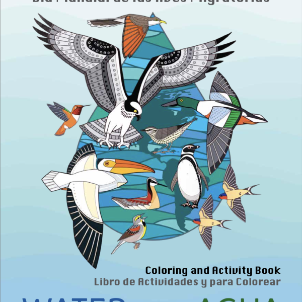 EFTA Digital Resource Library – Educational Materials and more