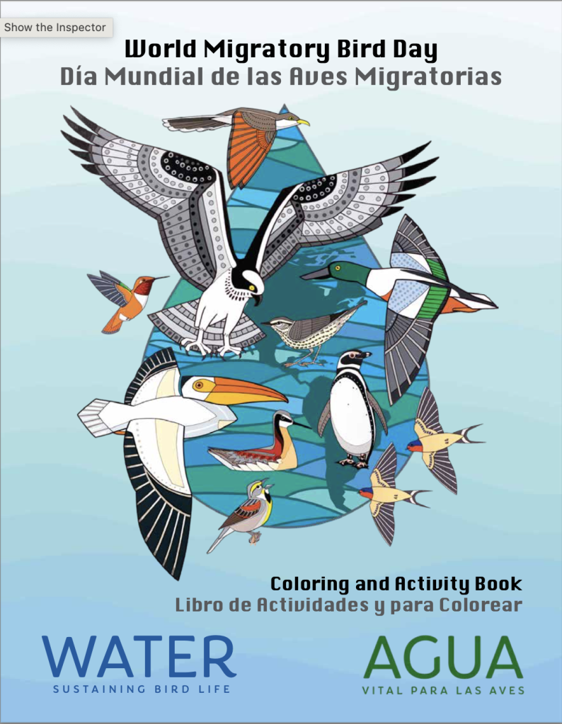 2023 WMBD Coloring and Activity Book (Bilingual) – EFTA Digital ...