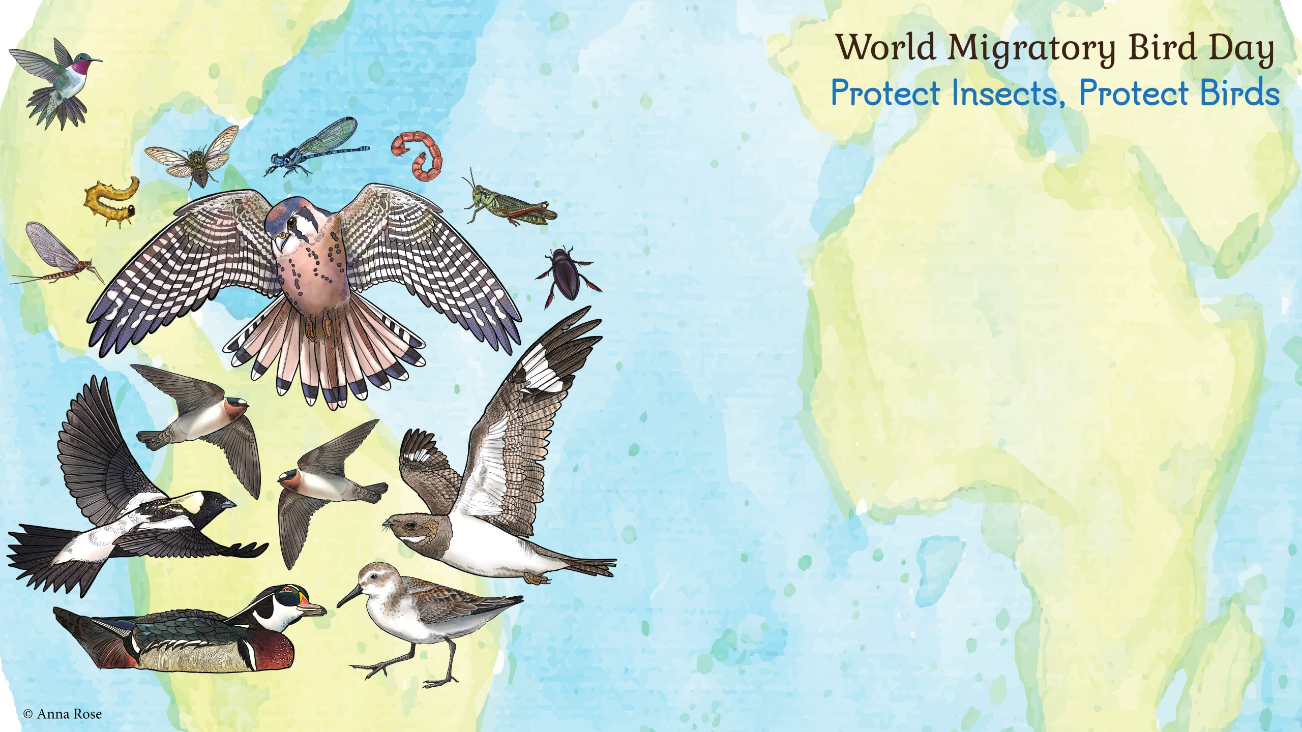 2024 ZOOM Background (English & Spanish) – EFTA Digital Resource Library