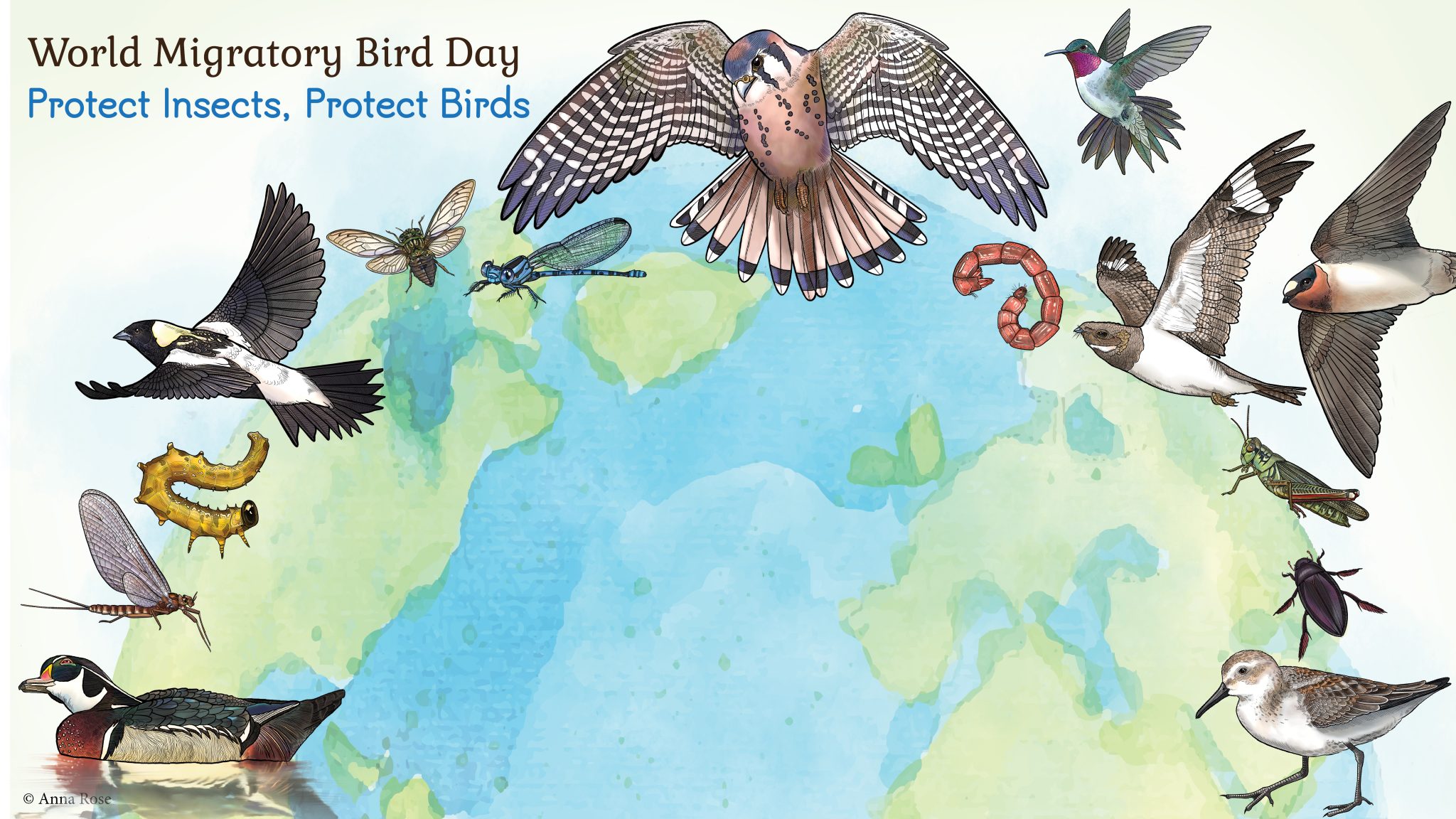 2024 ZOOM Background (English & Spanish) – EFTA Digital Resource Library