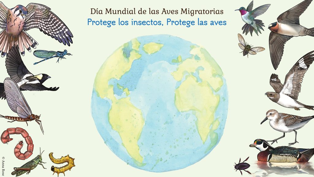 2024 ZOOM Background (English & Spanish) – EFTA Digital Resource Library