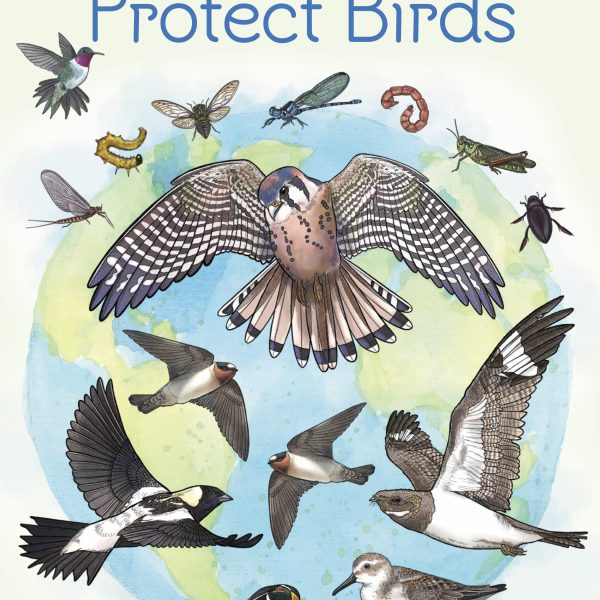 EFTA Digital Resource Library – Educational Materials and more