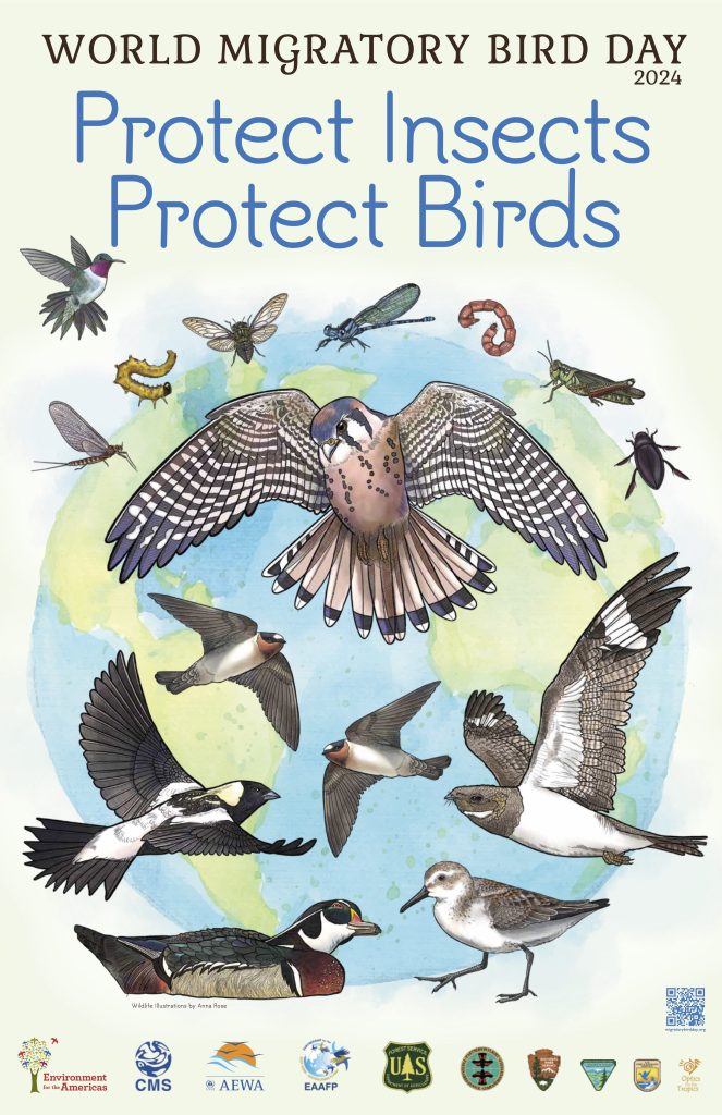 2024 WMBD Poster (English) – EFTA Digital Resource Library