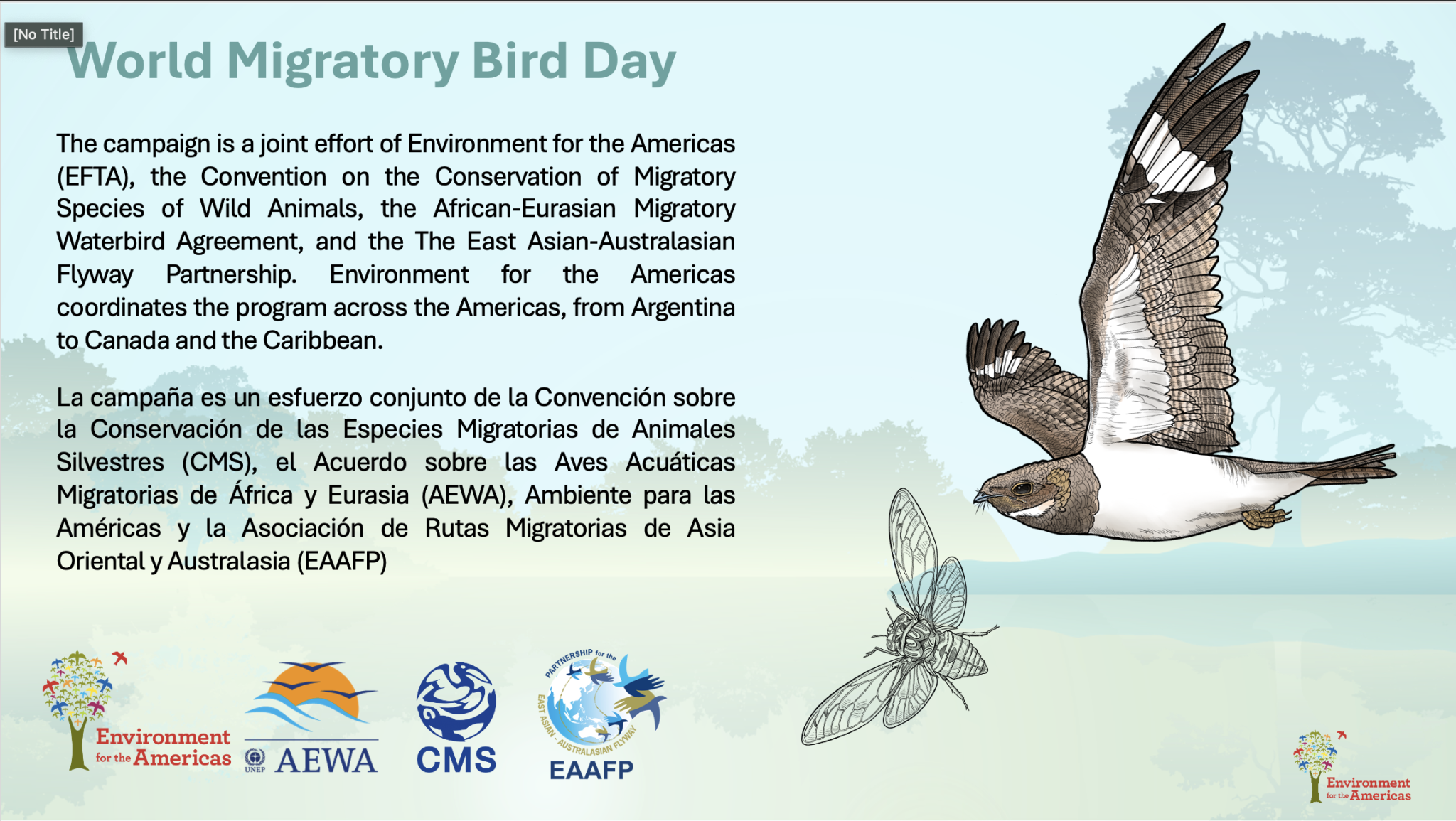 2024 WMBD Infographic (English & Spanish & Franch) – EFTA Digital Resource Library