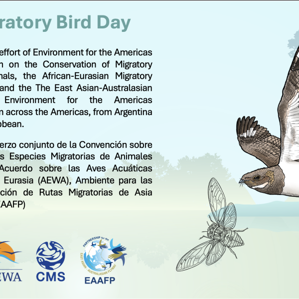 EFTA Digital Resource Library – Educational Materials and more