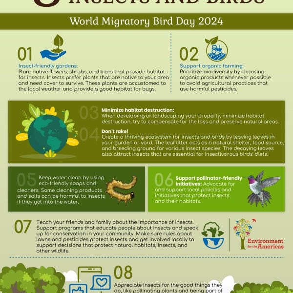 Infographics – EFTA Digital Resource Library