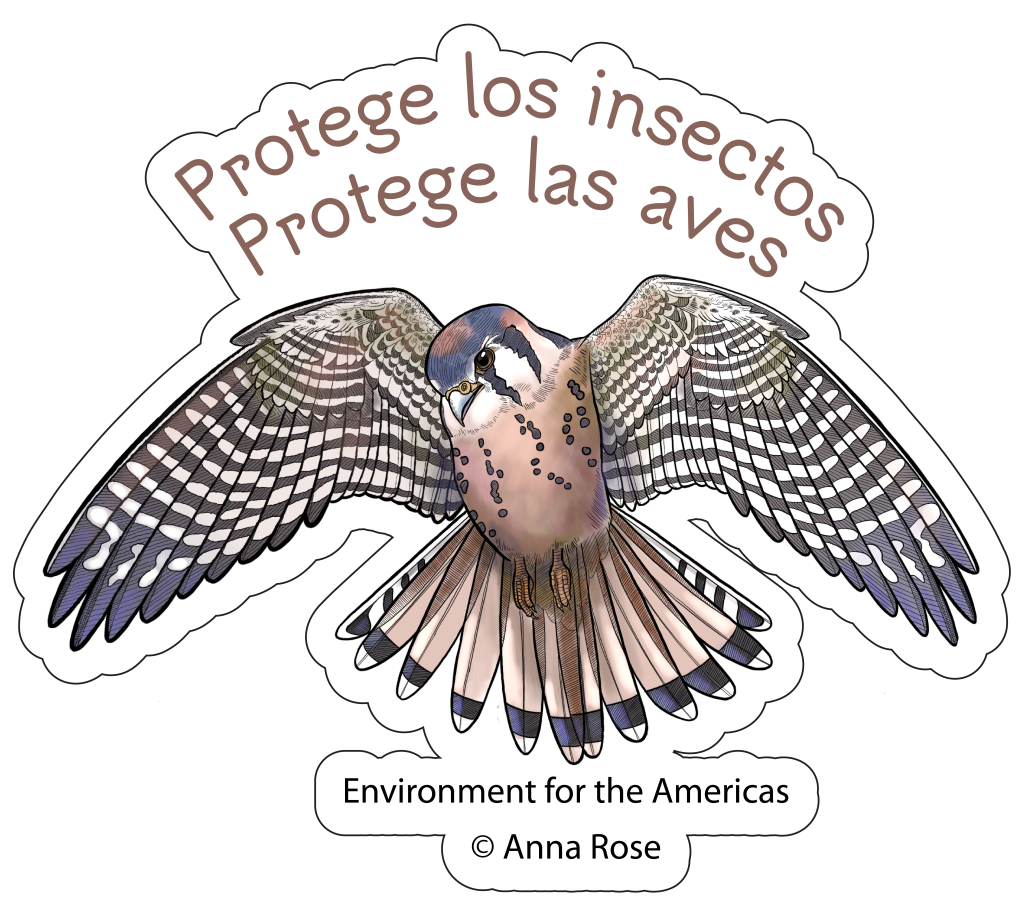 2024 WMBD Bird & Insect Images (Spanish) – EFTA Digital Resource Library