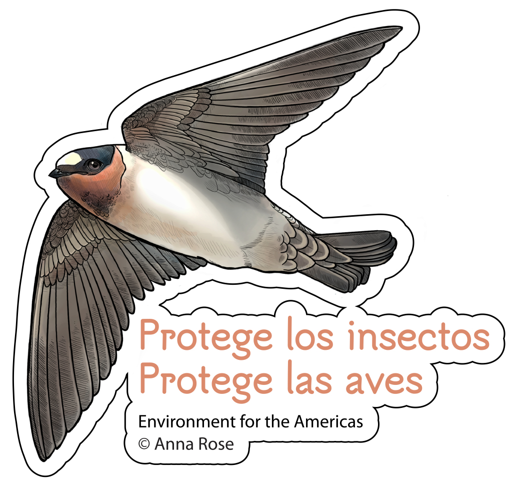 2024 WMBD Bird & Insect Images (Spanish) – EFTA Digital Resource Library