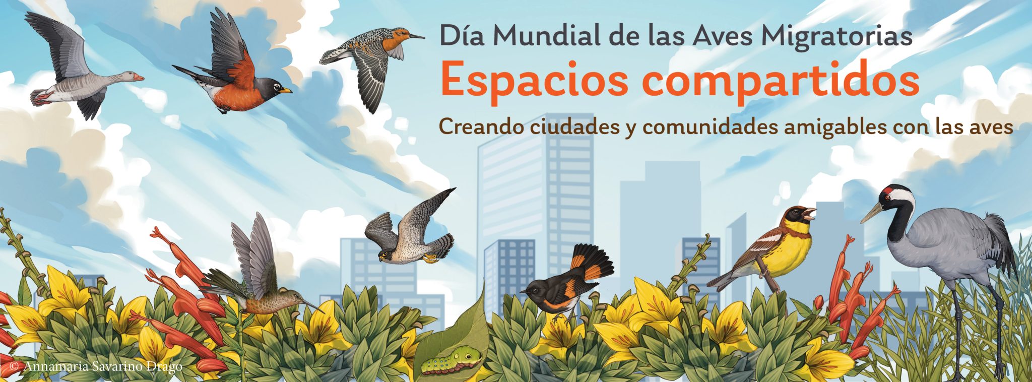 2025 WMBD Facebook Banner (Multiple languages) – EFTA Digital Resource Library