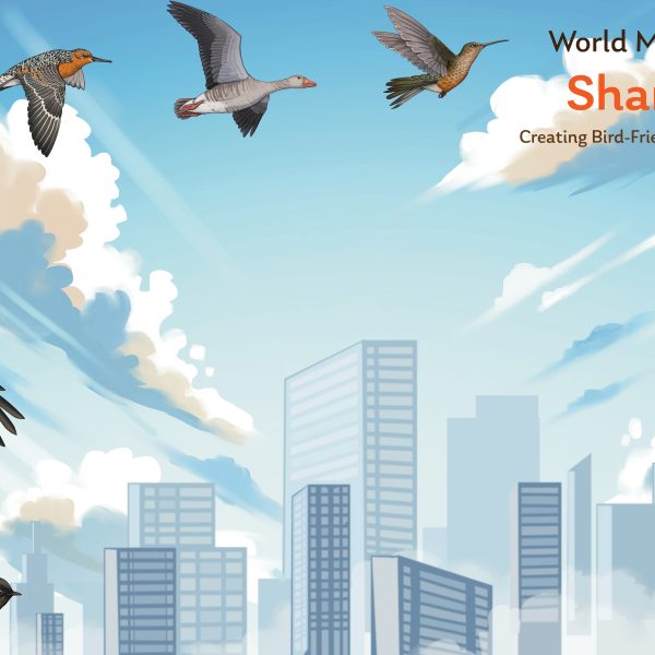 EFTA Digital Resource Library – Educational Materials and more