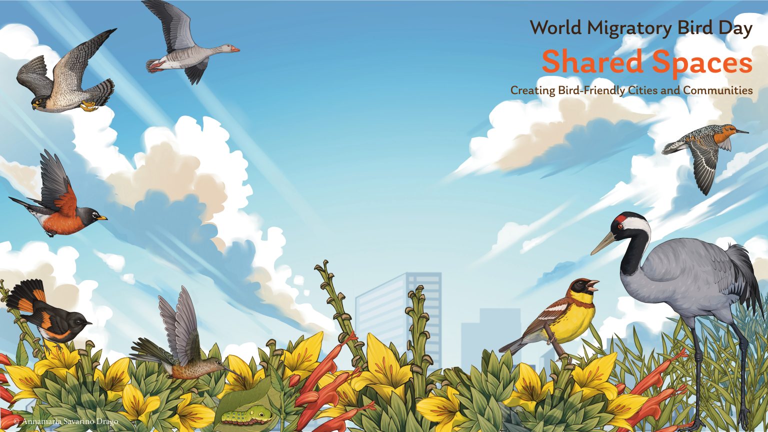 2025 WMBD ZOOM Background (Multiple languages) – EFTA Digital Resource Library