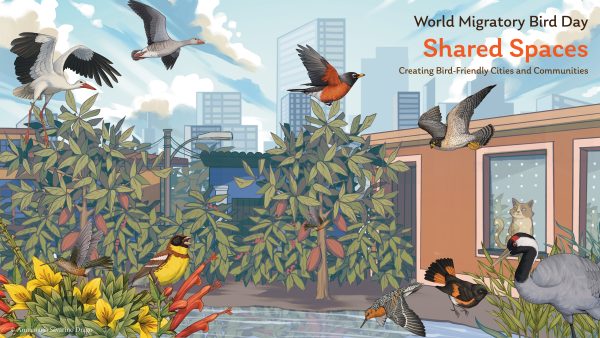 2025 WMBD ZOOM Background (Multiple languages) – EFTA Digital Resource ...