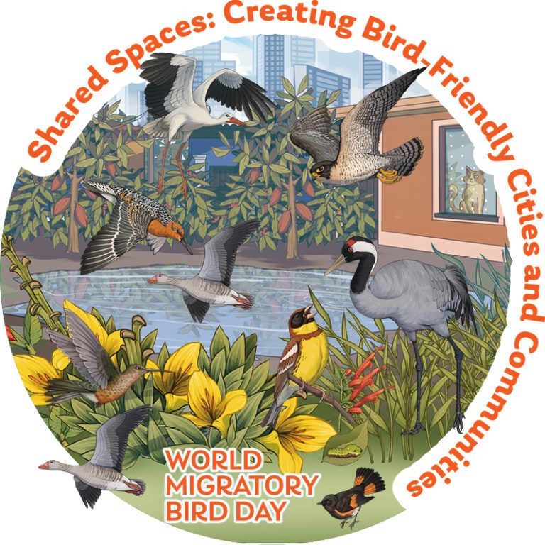 EFTA Digital Resource Library – Educational Materials and more